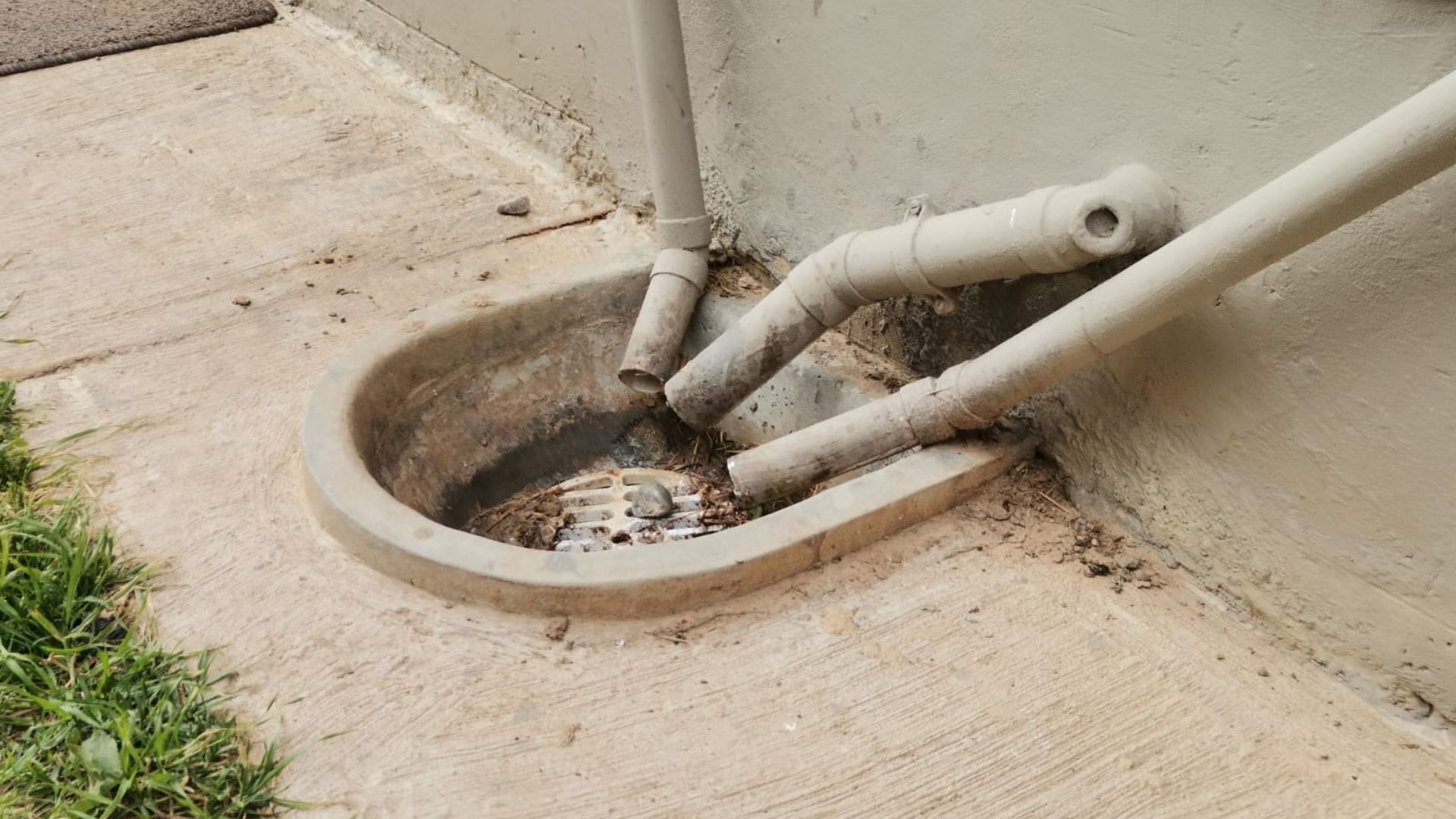 Ultimate Guide To Gully Traps NZ